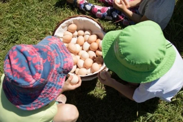 Kids Activities — The Farm Byron Bay