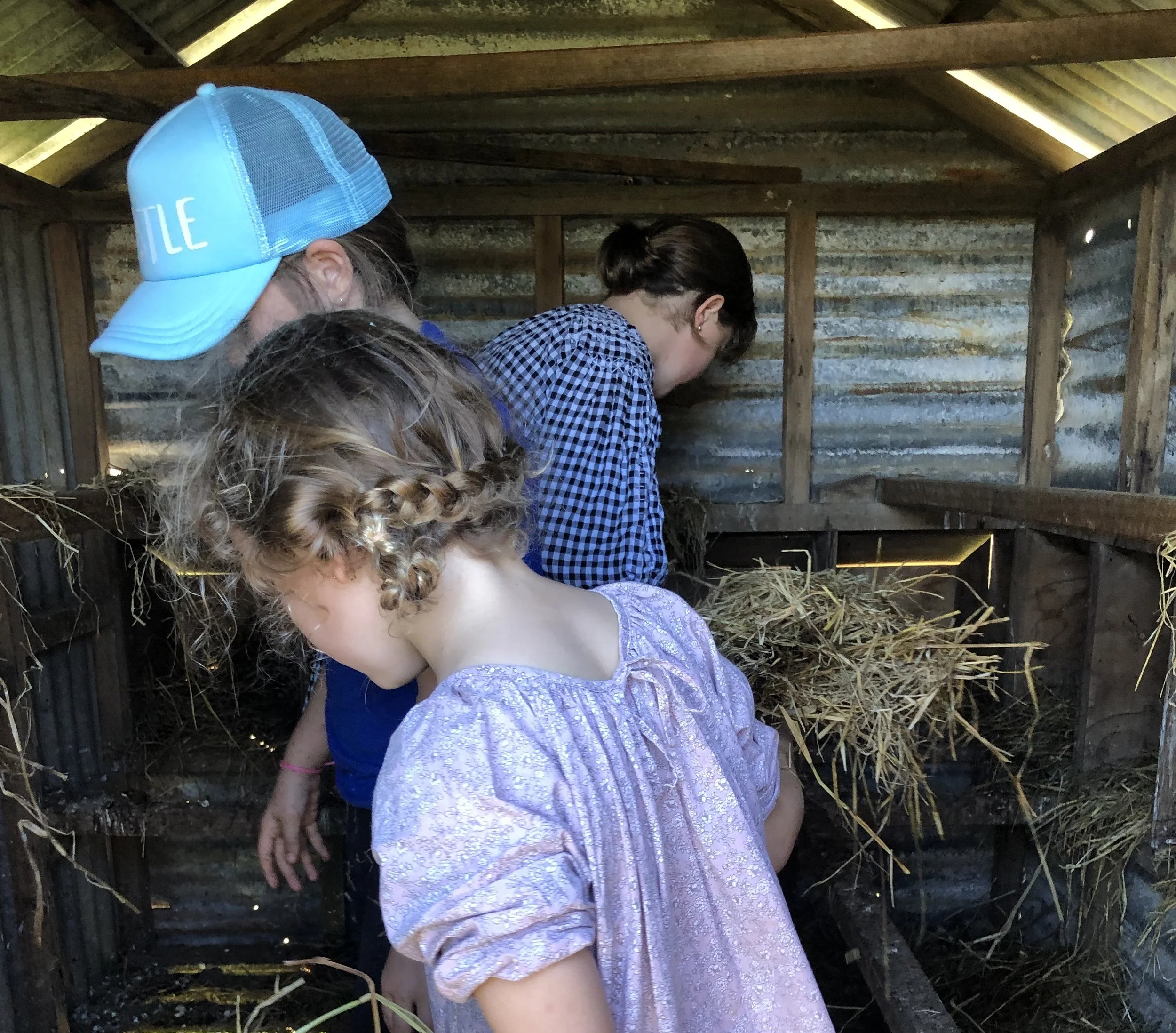 Kids Activities — The Farm Byron Bay