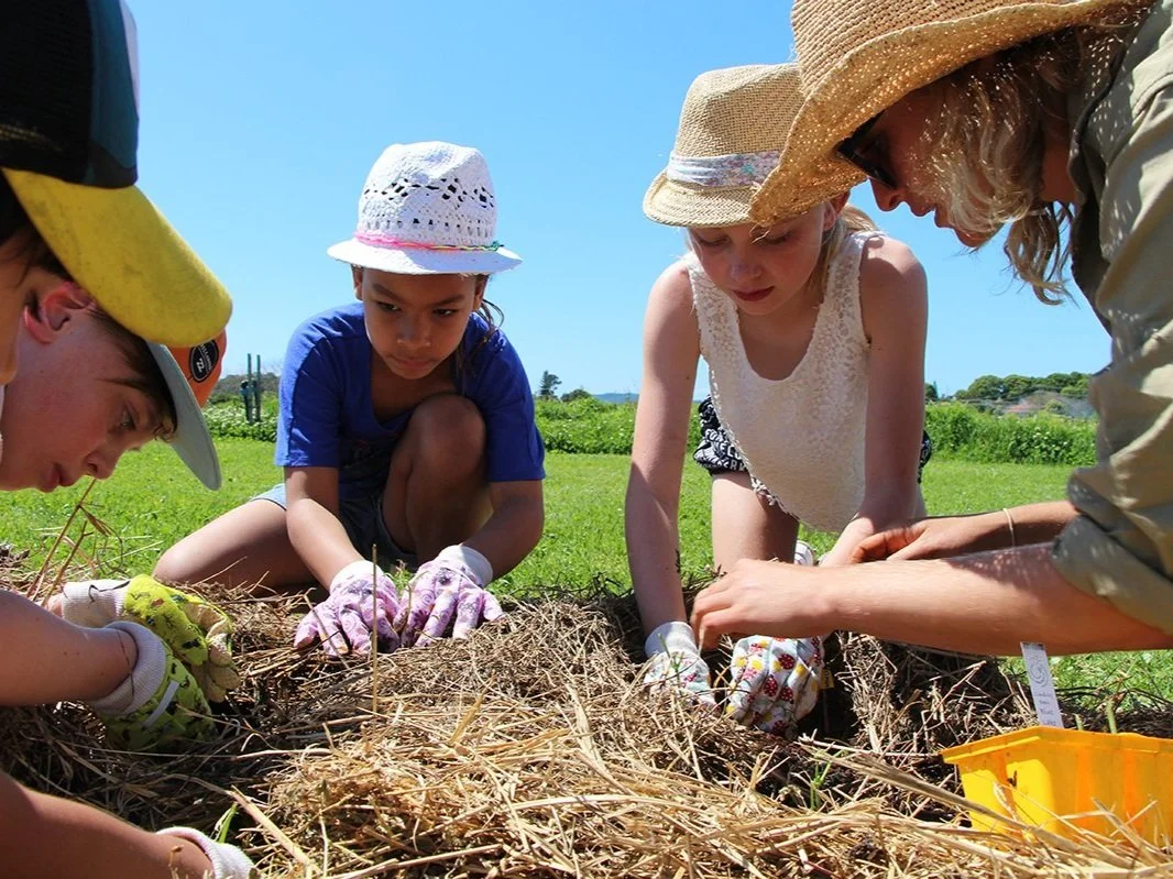 Kids Activities — The Farm Byron Bay
