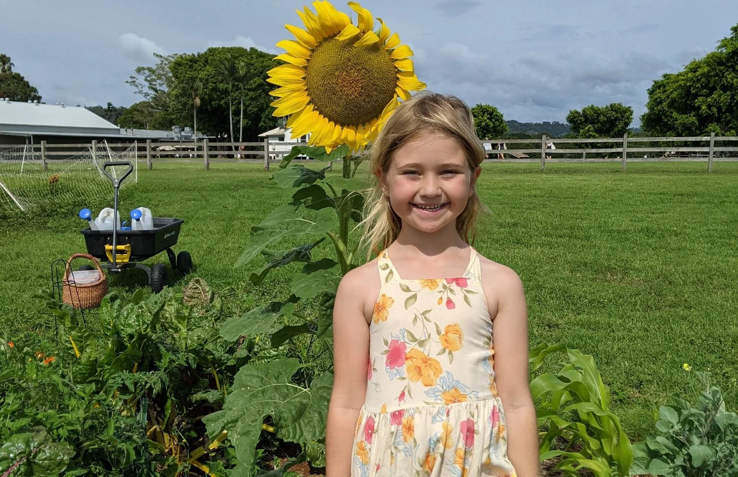 Plan your visit — The Farm Byron Bay