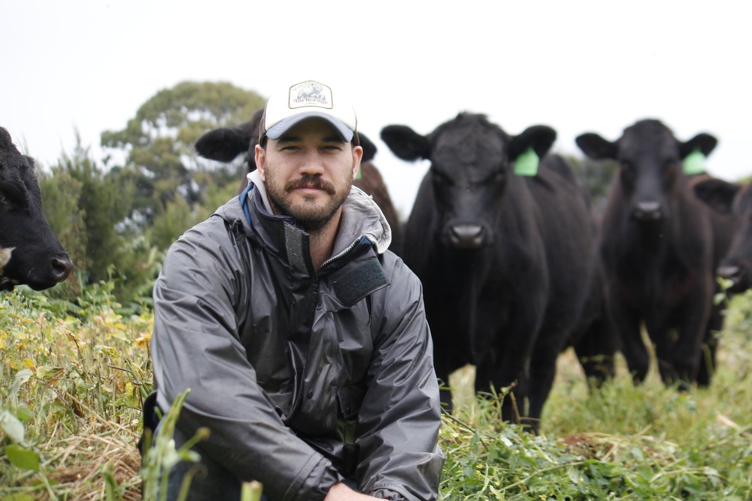 Animals — The Farm Byron Bay