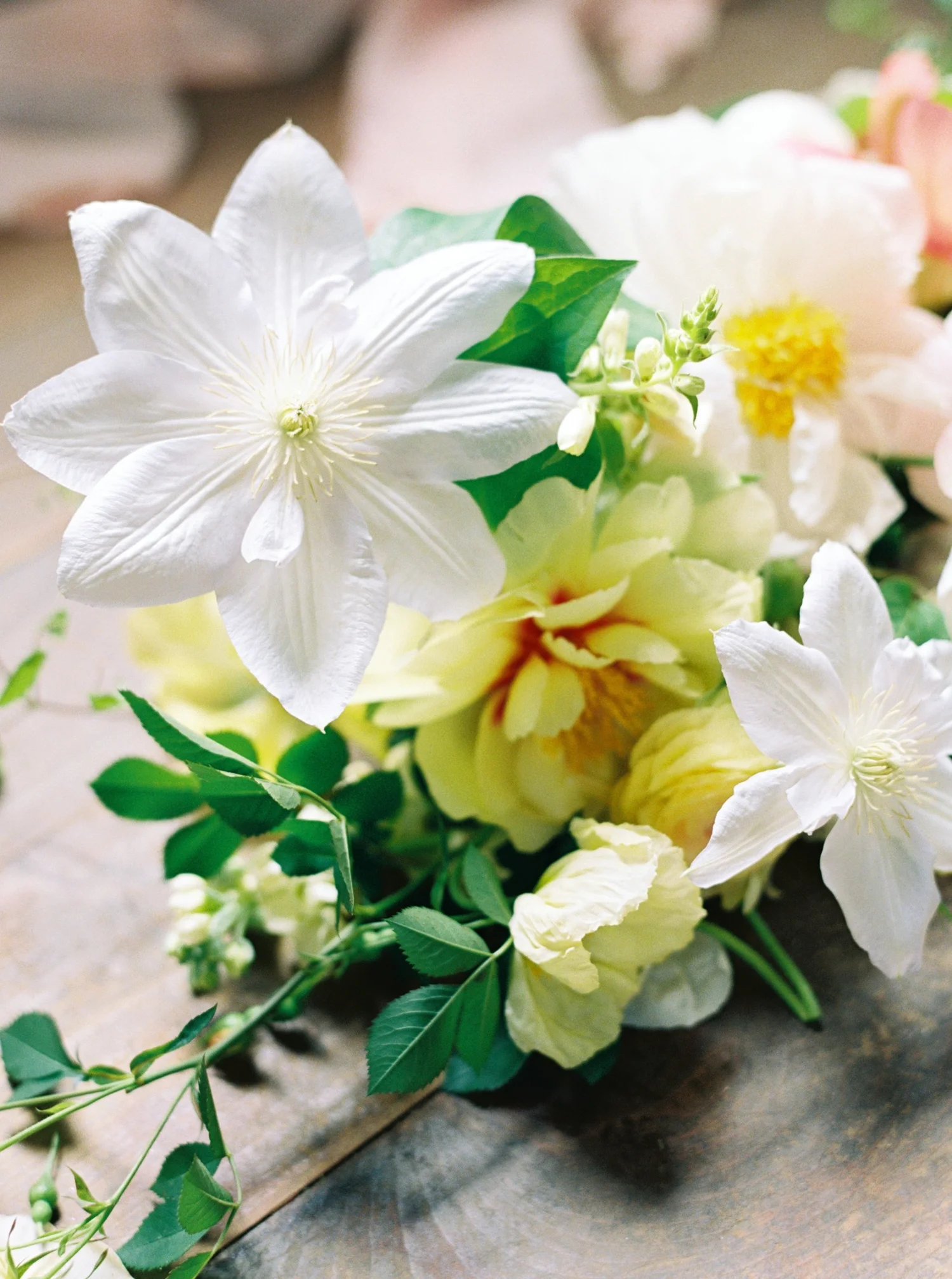 Portland, Maine Florist- FIELD