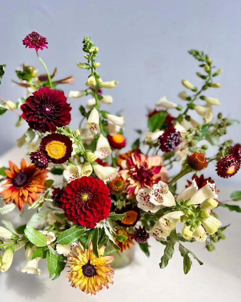 Portland, Maine Florist- FIELD