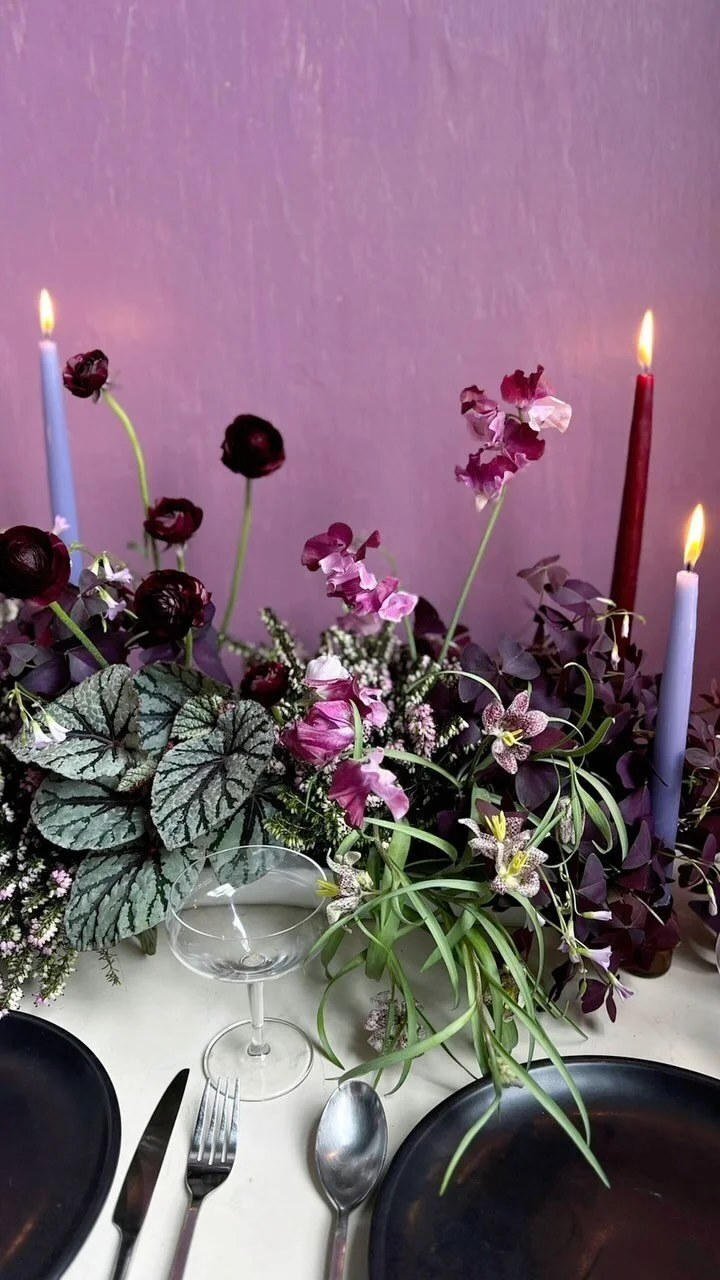 Portland, Maine Florist- FIELD