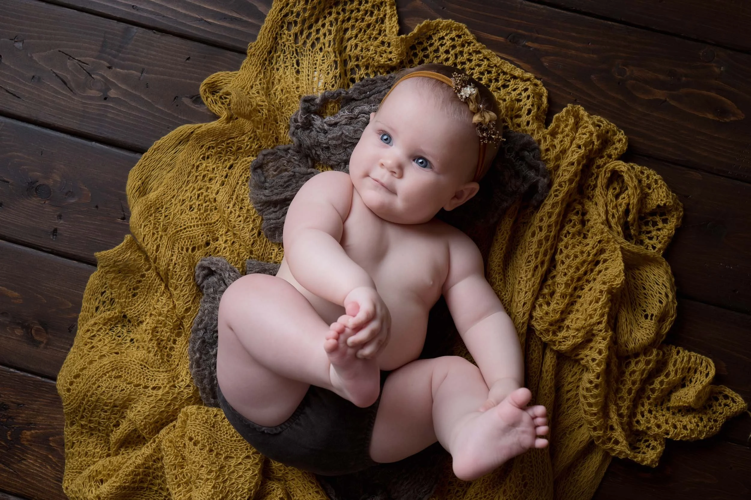 Sitter Photography