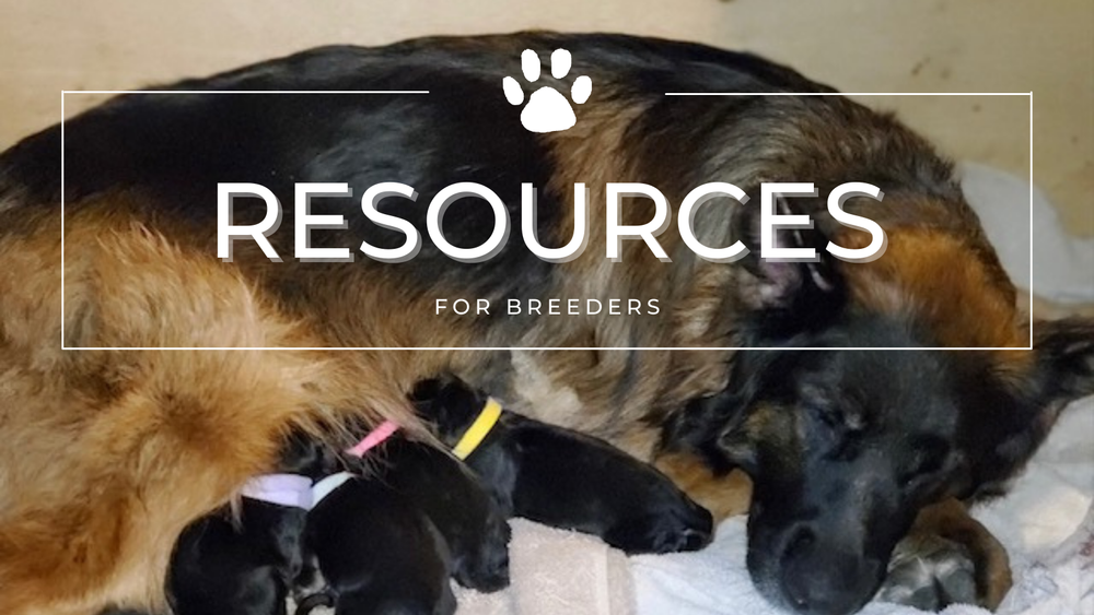 Breeder Resources — Herzog German Shepherds