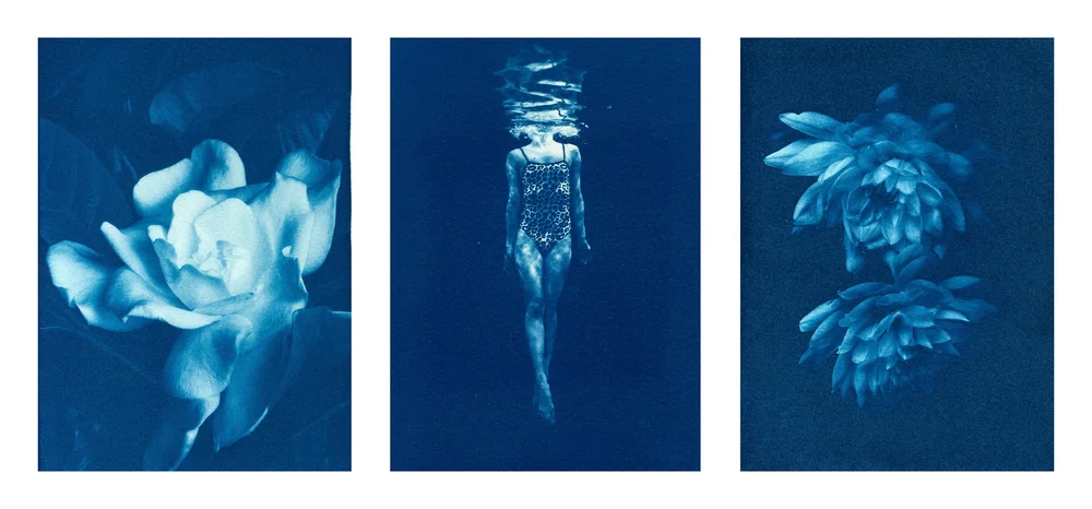 Why I use the Cyanotype method of printmaking — Rosalind Hobley