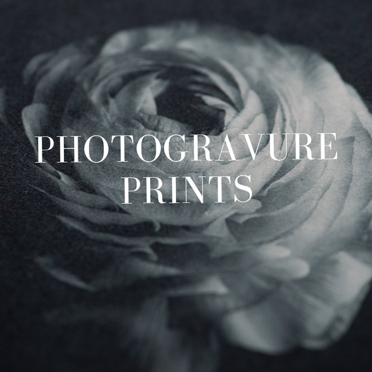 Photogravure Prints - Latest prints available now — Rosalind Hobley