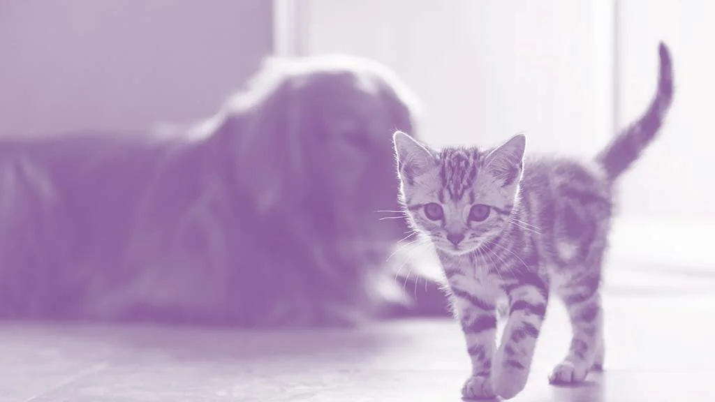 Humane Law Enforcement — Finger Lakes SPCA of CNY