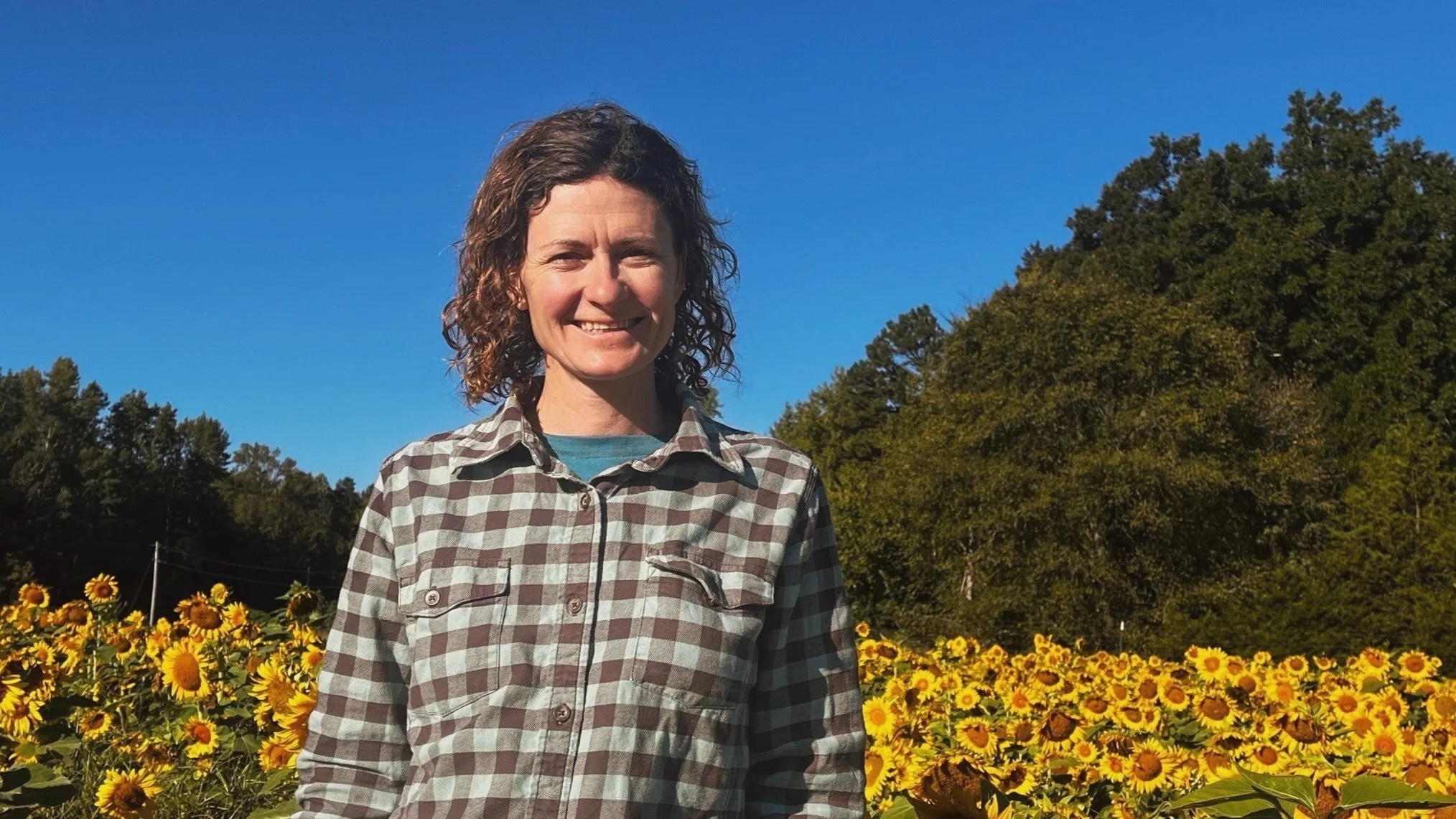 Maple Spring Gardens