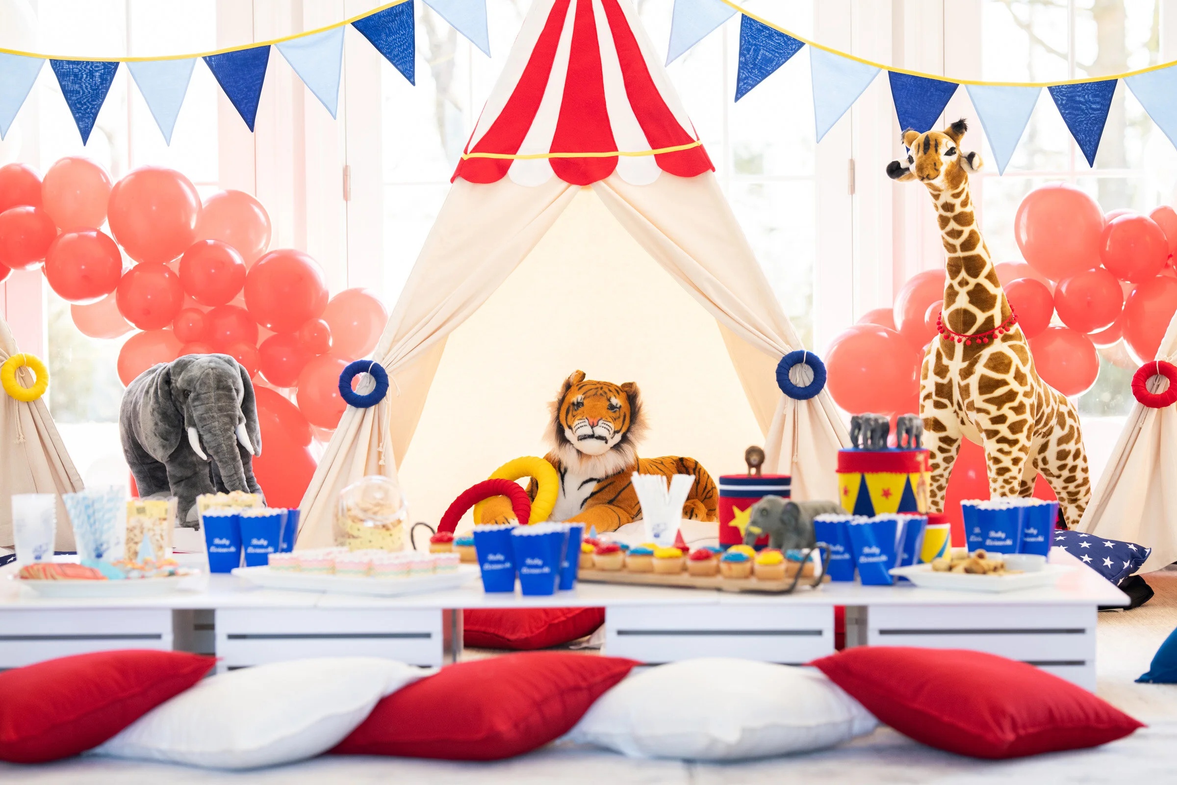 Circus — Dream & Party