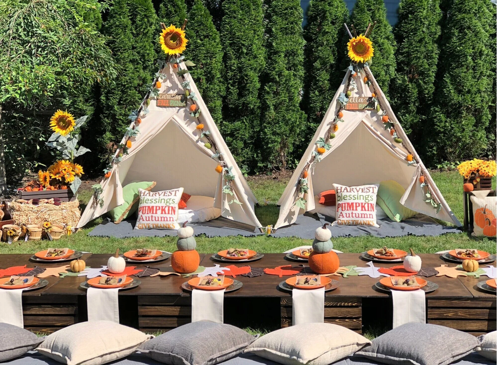 Outdoor Picnic Party Rentals Decor Props Kids Parties Dream Party outdoor-picnic-party-rentals-decor-props-kids-parties-dream-party
