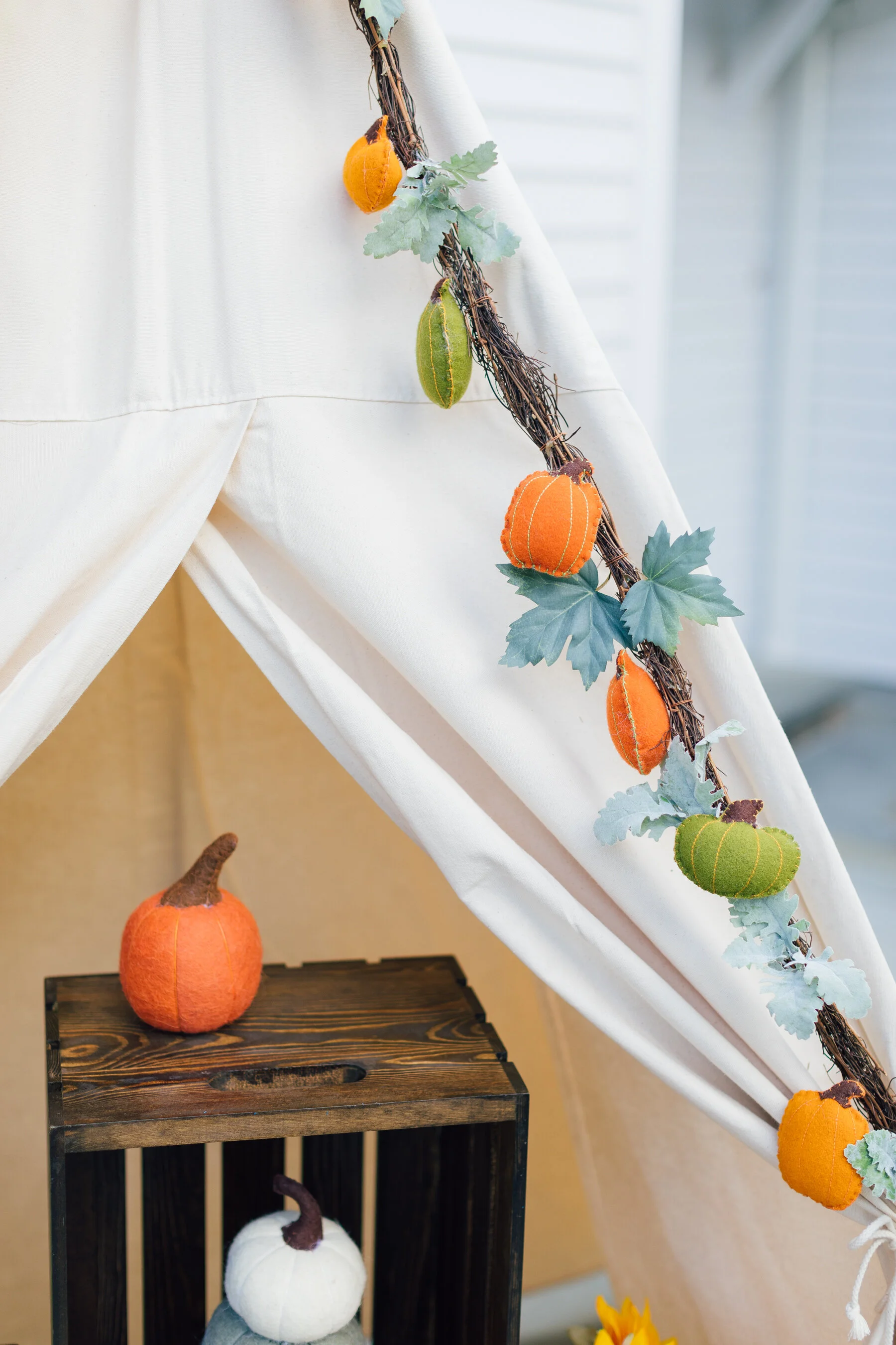 Fall — Dream & Party