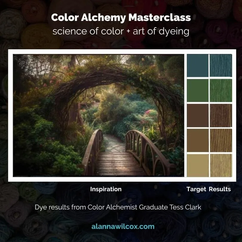 Color Alchemy Masterclass - an in-depth online dyeing course — Alanna ...