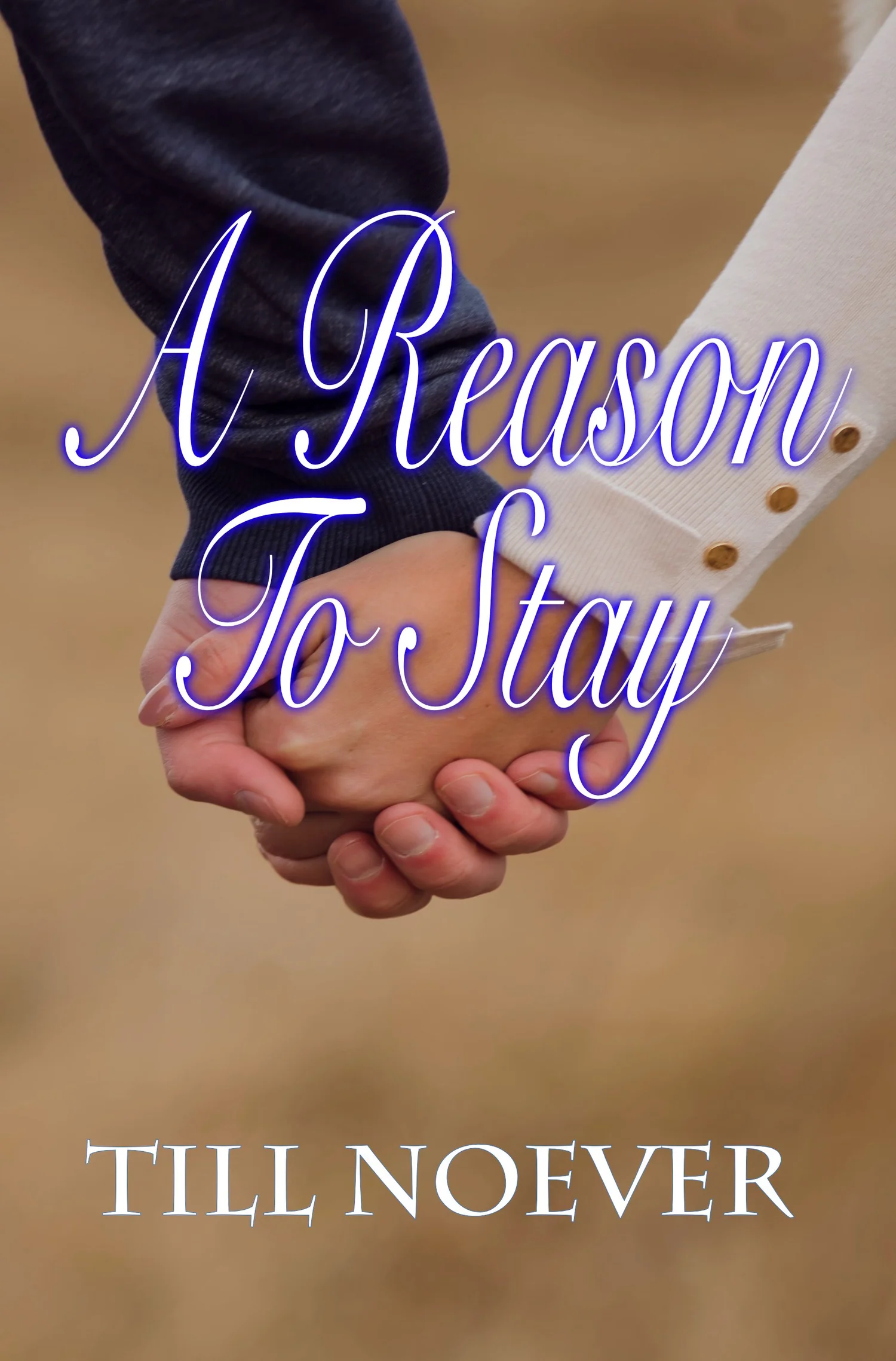 A Reason to Stay — Till Noever — author