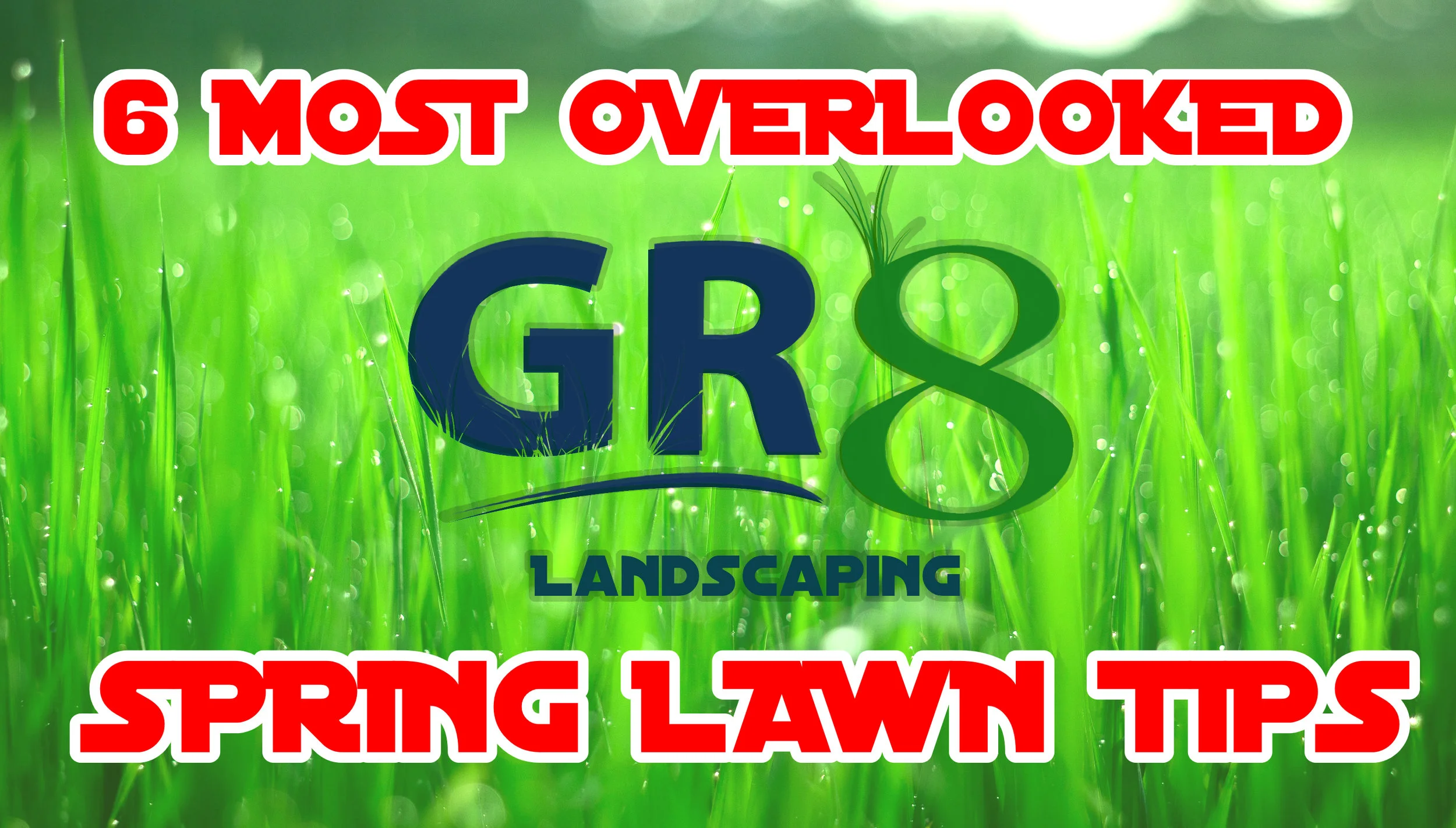 6 Most Overlooked Spring Lawn Tips — GR8 Landscaping