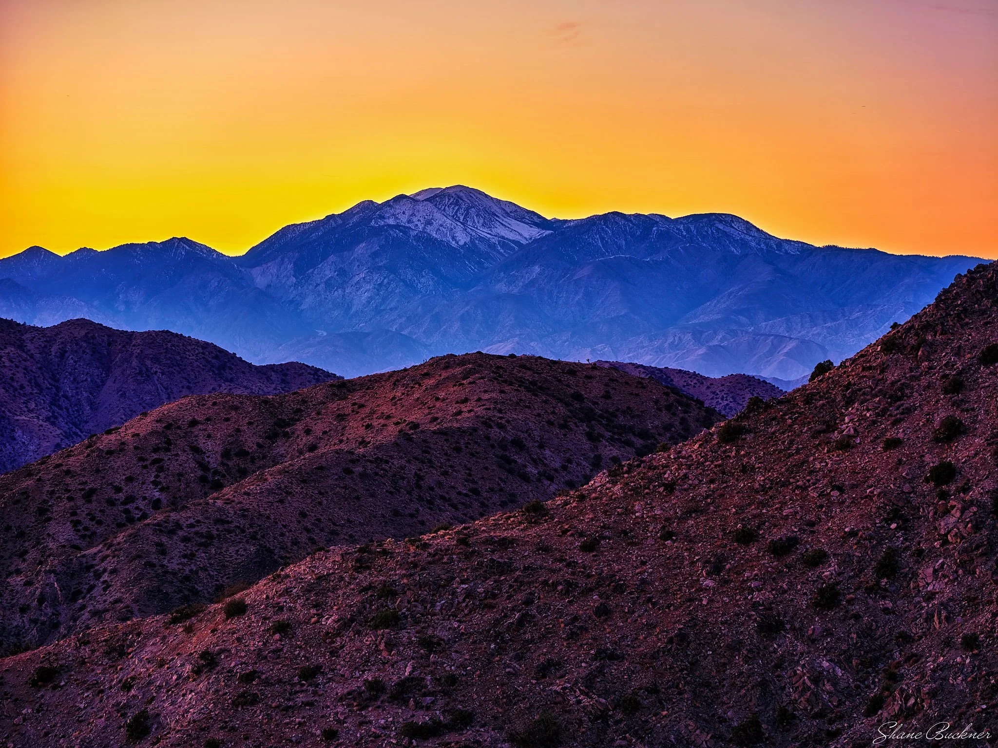 Shane Buckner Photography