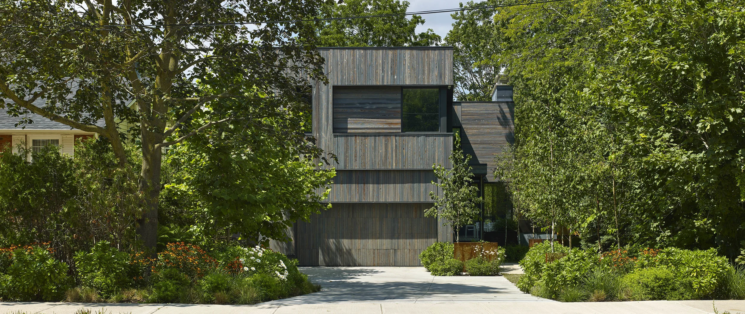 A House in a Grove — Derek Nicholson