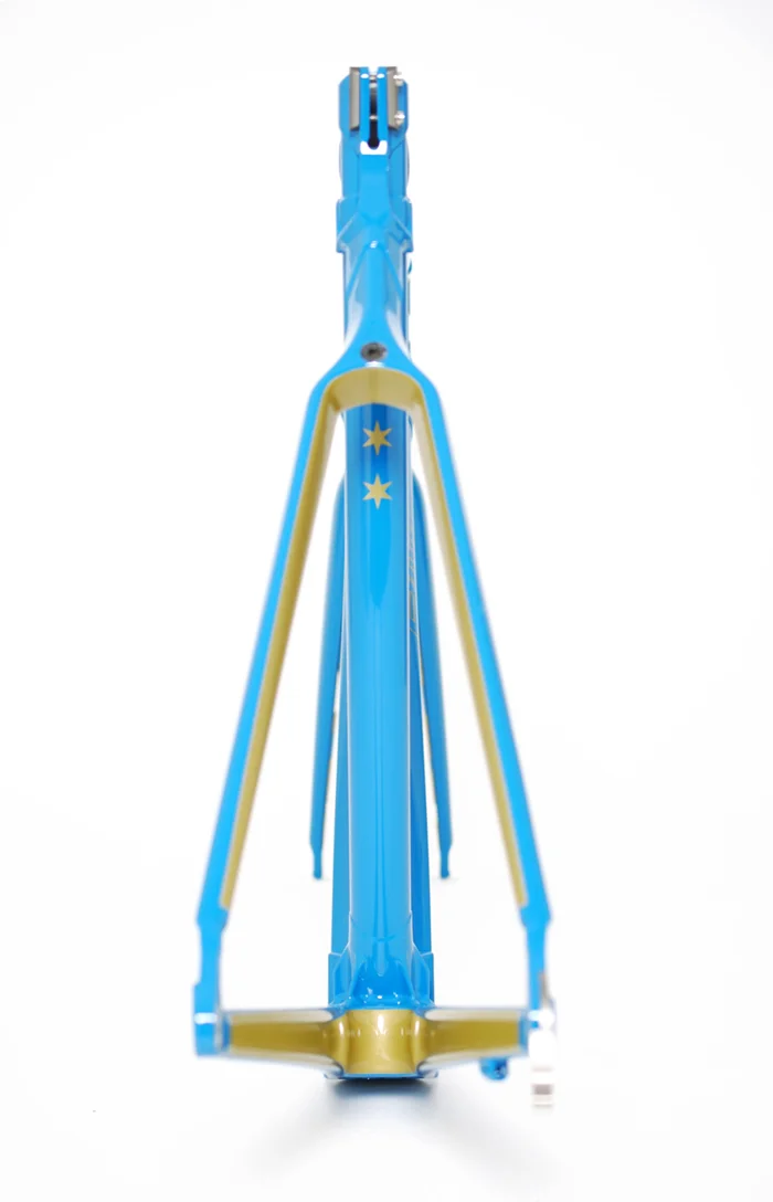 BMC Carbon — VéloColour Custom Paint and Cycling Bags