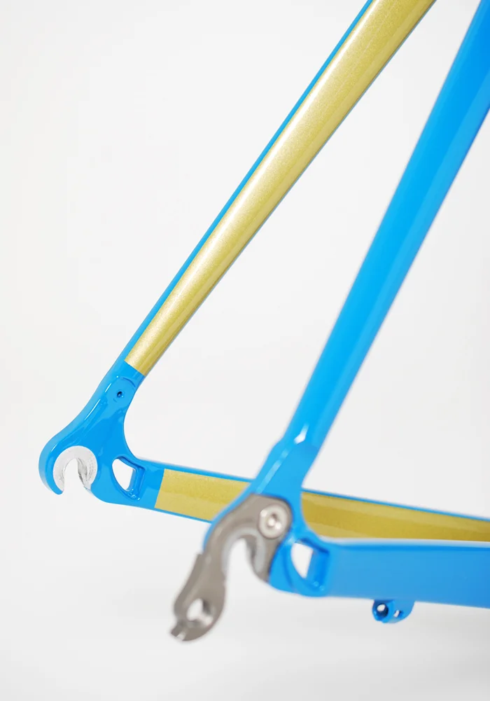 BMC Carbon — VéloColour Custom Paint and Cycling Bags
