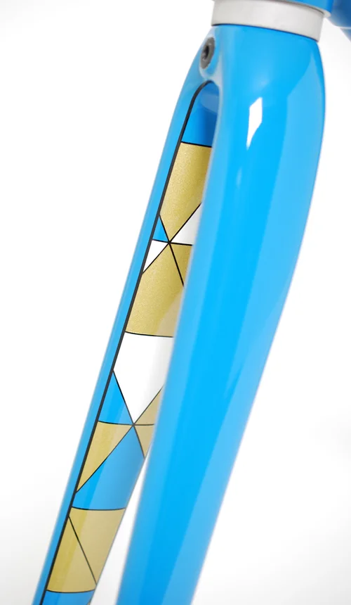 BMC Carbon — VéloColour Custom Paint and Cycling Bags