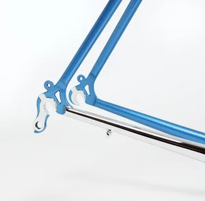 Bike Marinoni Blue — VéloColour Custom Paint and Cycling Bags