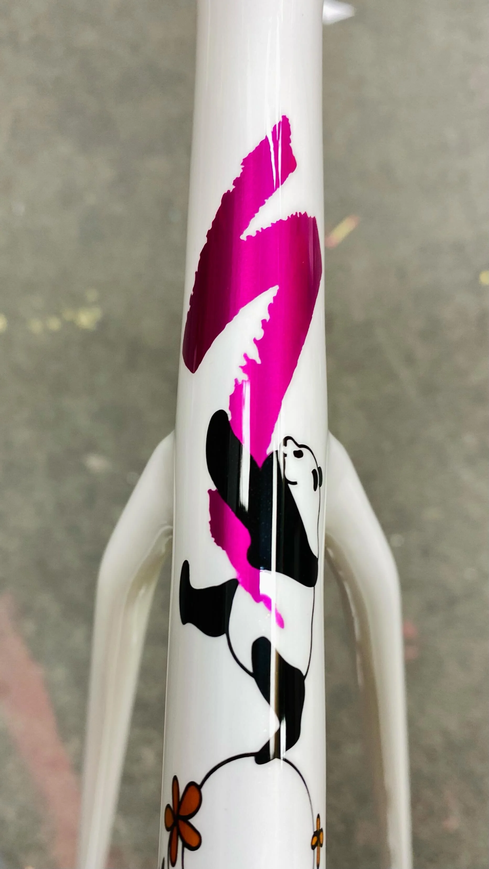 Carbon Paint — VéloColour Custom Paint and Cycling Bags