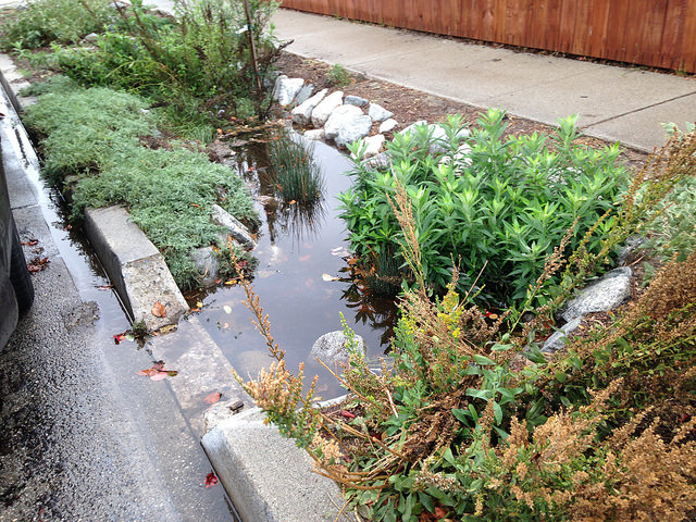 Strategies — Water LA