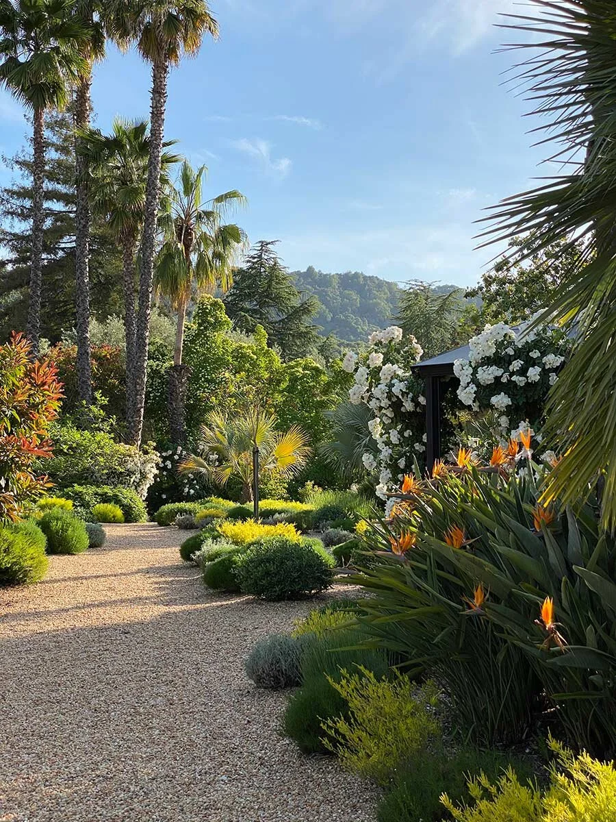 Mediterranean Landscape Design