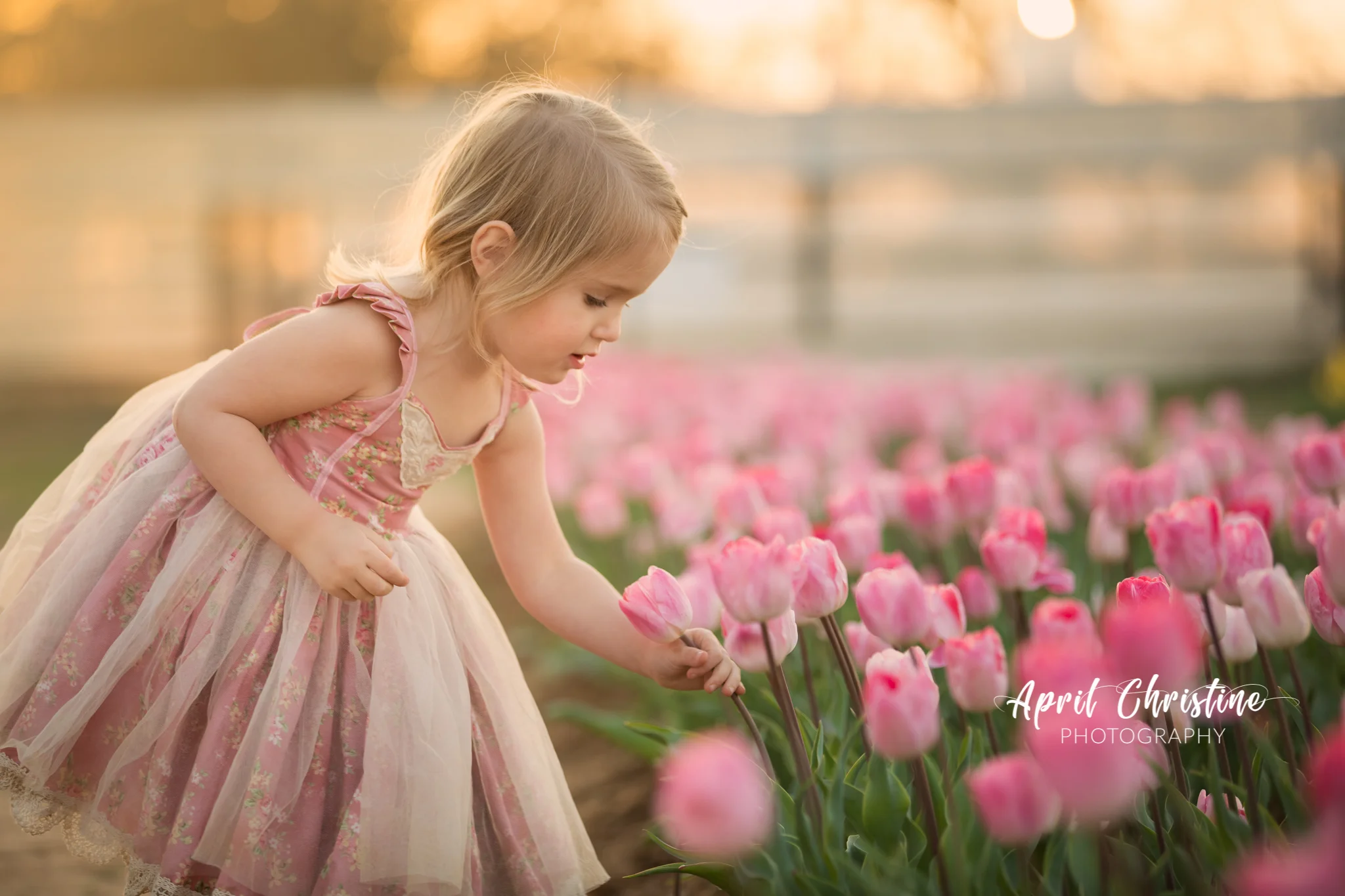 Senior Family Child Photographer Southlake, Tx