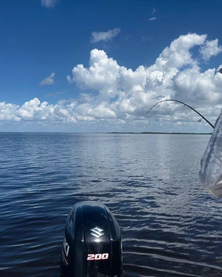 Snook Fishing Charters from Boca Grande to Punta Gorda with Task Force ...