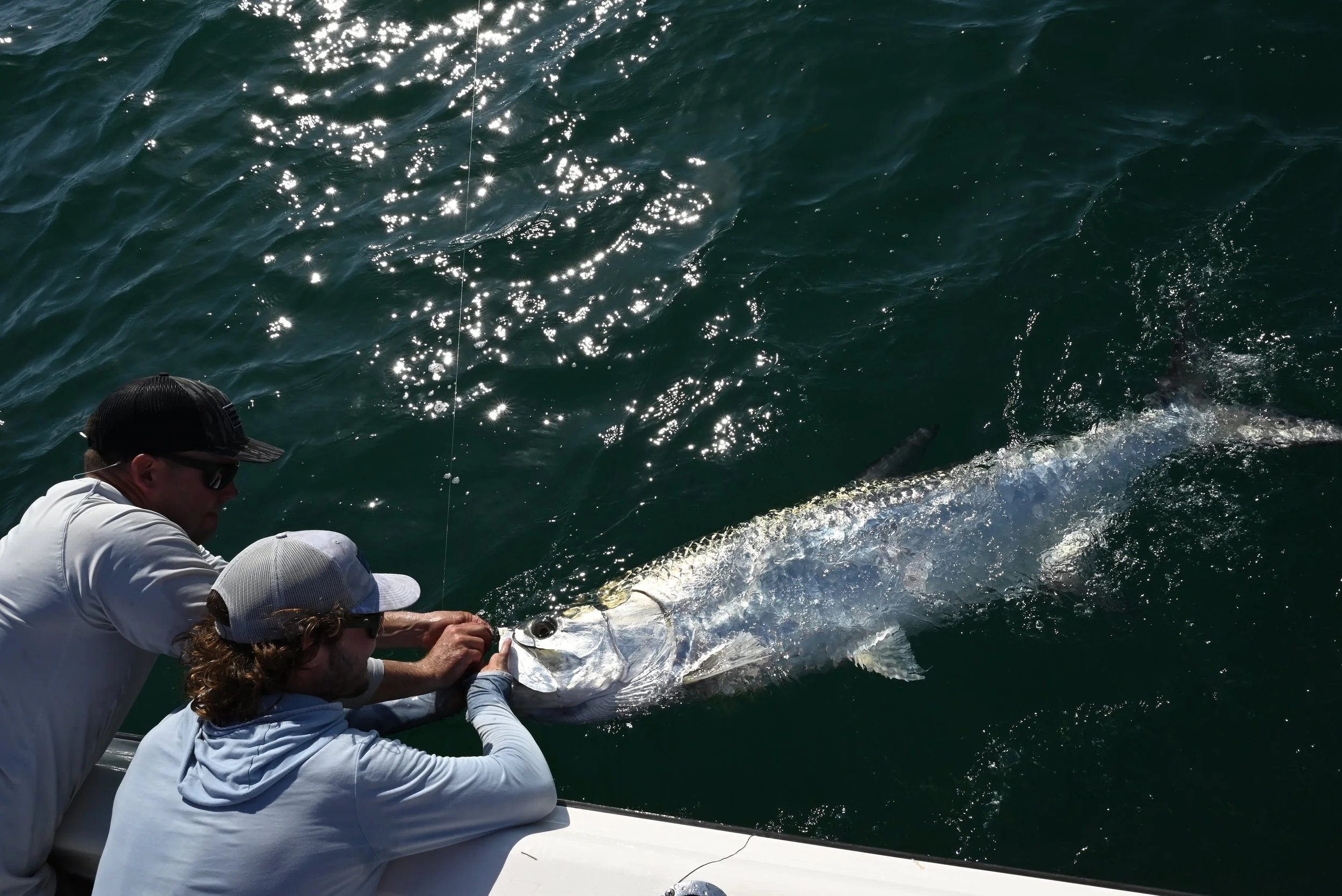 Snook Fishing Charters from Boca Grande to Punta Gorda with Task Force ...