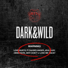 [BTS Discography] Dark & Wild — US BTS ARMY
