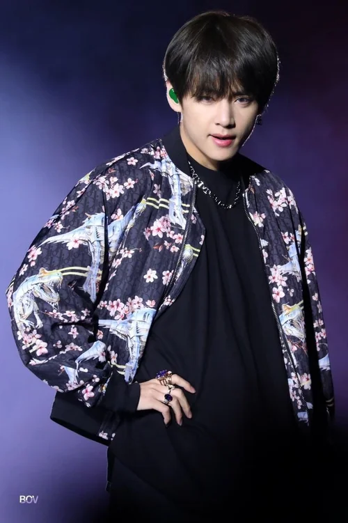 V Career Highlights — US BTS ARMY