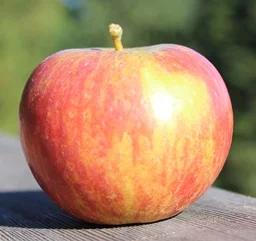 Dabinett — Salt Spring Apple Company Ltd