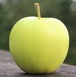 Orin — Salt Spring Apple Company Ltd