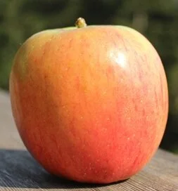 Reverend Morgan — Salt Spring Apple Company Ltd