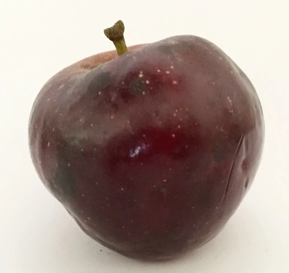 Raven — Salt Spring Apple Company Ltd