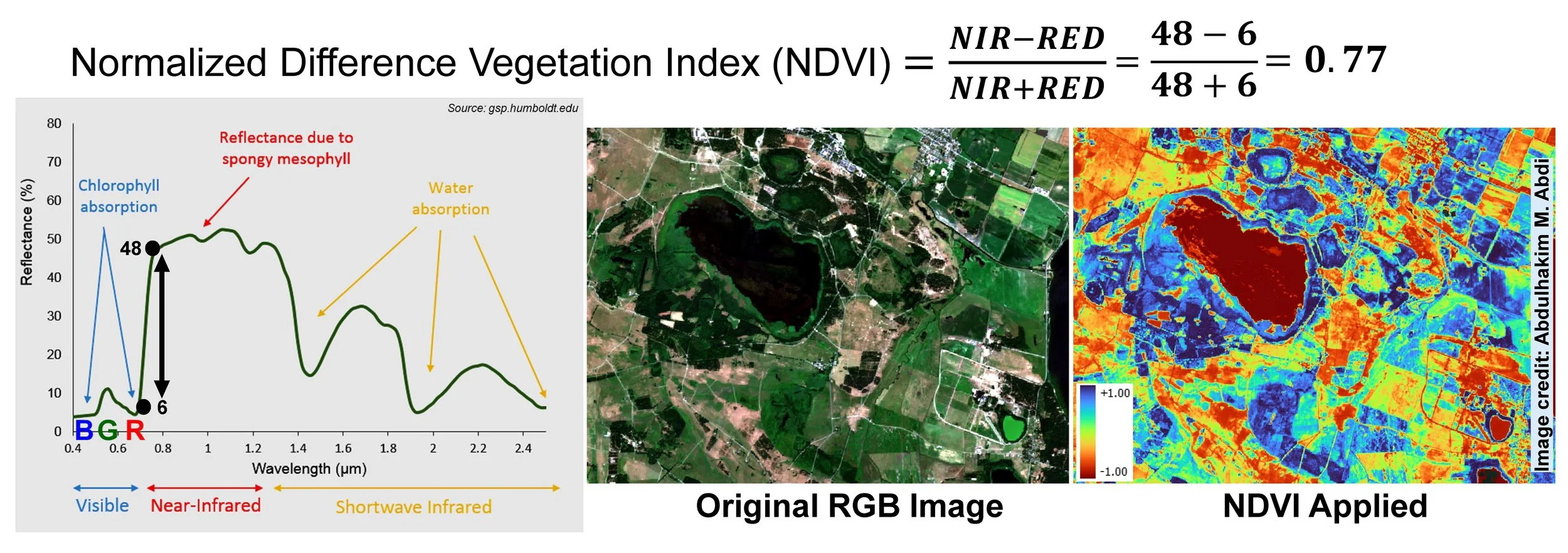 Birth of the Normalized Difference Vegetation Index (NDVI) and the ...