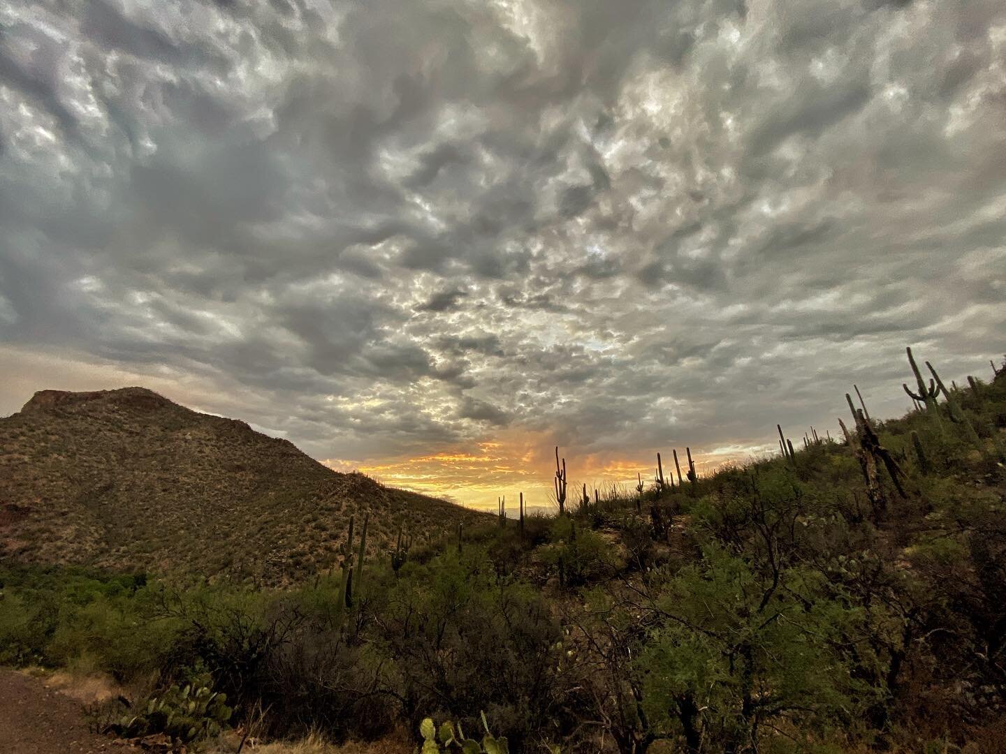 HOME — Trevor DeVage