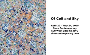 Elizabeth Knowles: opening reception "Of Cell And Sky" — SCULPTORS GUILD