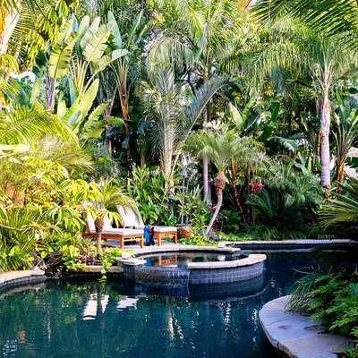 Beautiful Tropical Pools Tropical Pool Designs 2024: Creating A