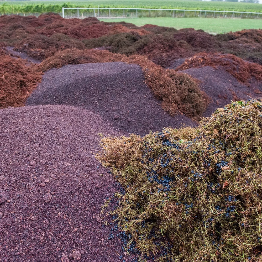 We are a Sustainability Focused Winery and Vineyard — Balletto Vineyards