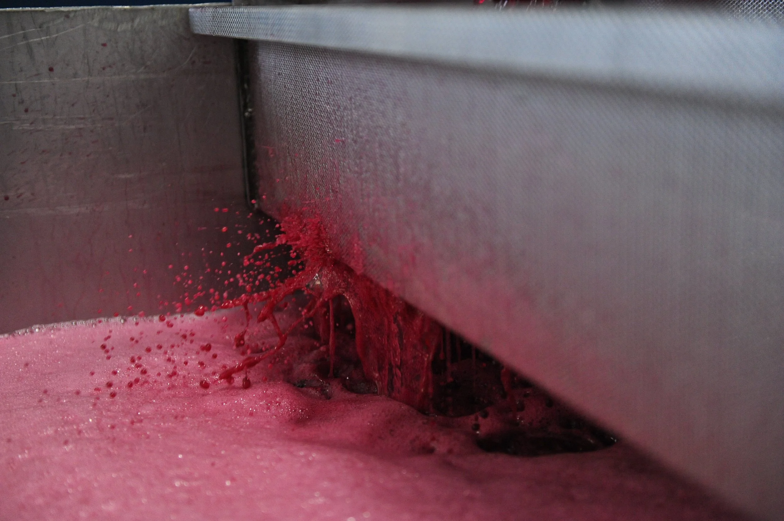 The Art of Pressing Grapes: Winemaking 101 in the Russian River Valley ...