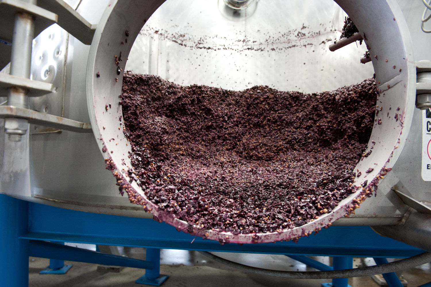The Art of Pressing Grapes: Winemaking 101 in the Russian River Valley ...