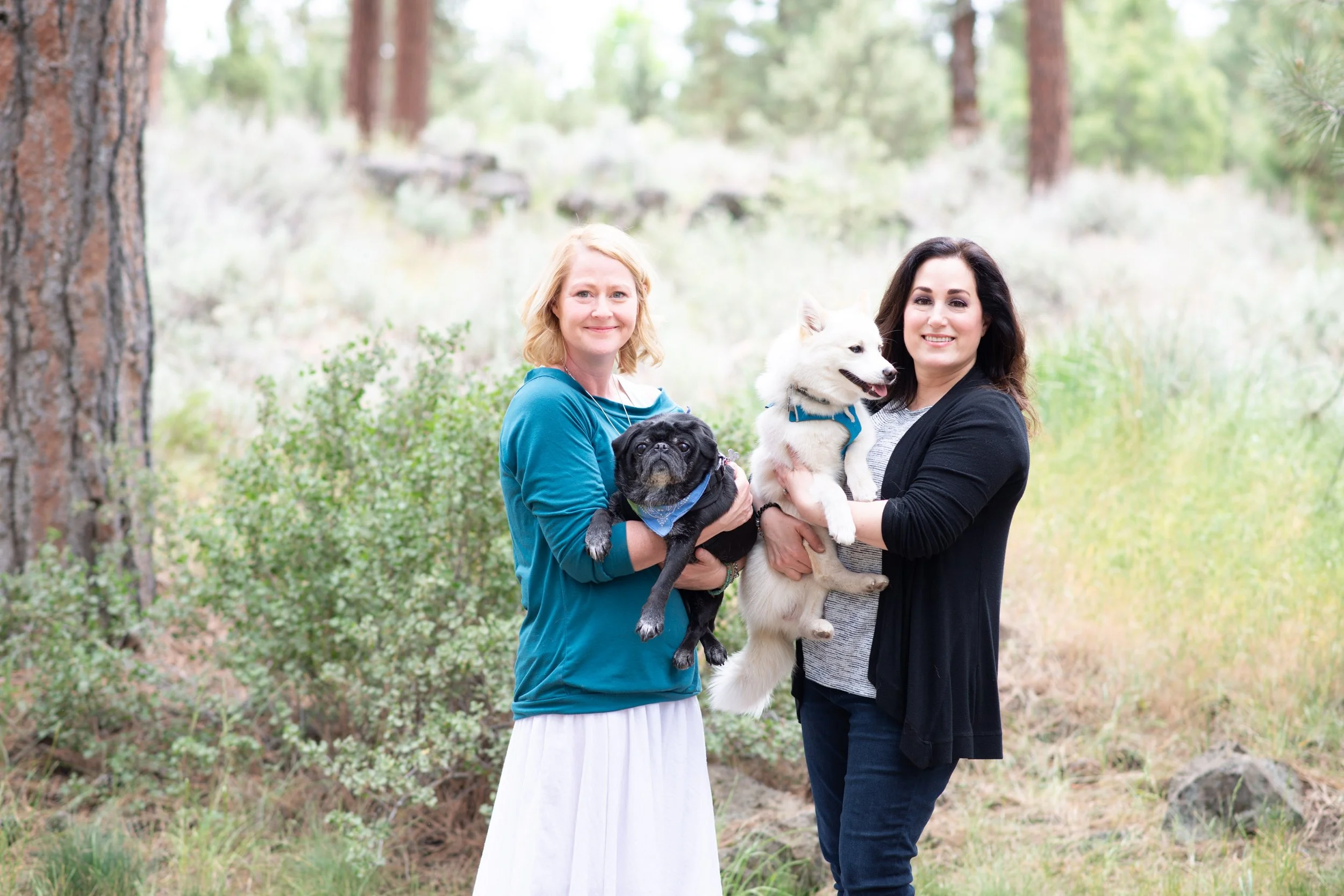 About — Four Paws Wellness Center