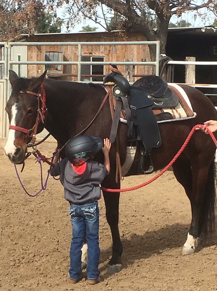 Foster — Heavens Ranch Rescue