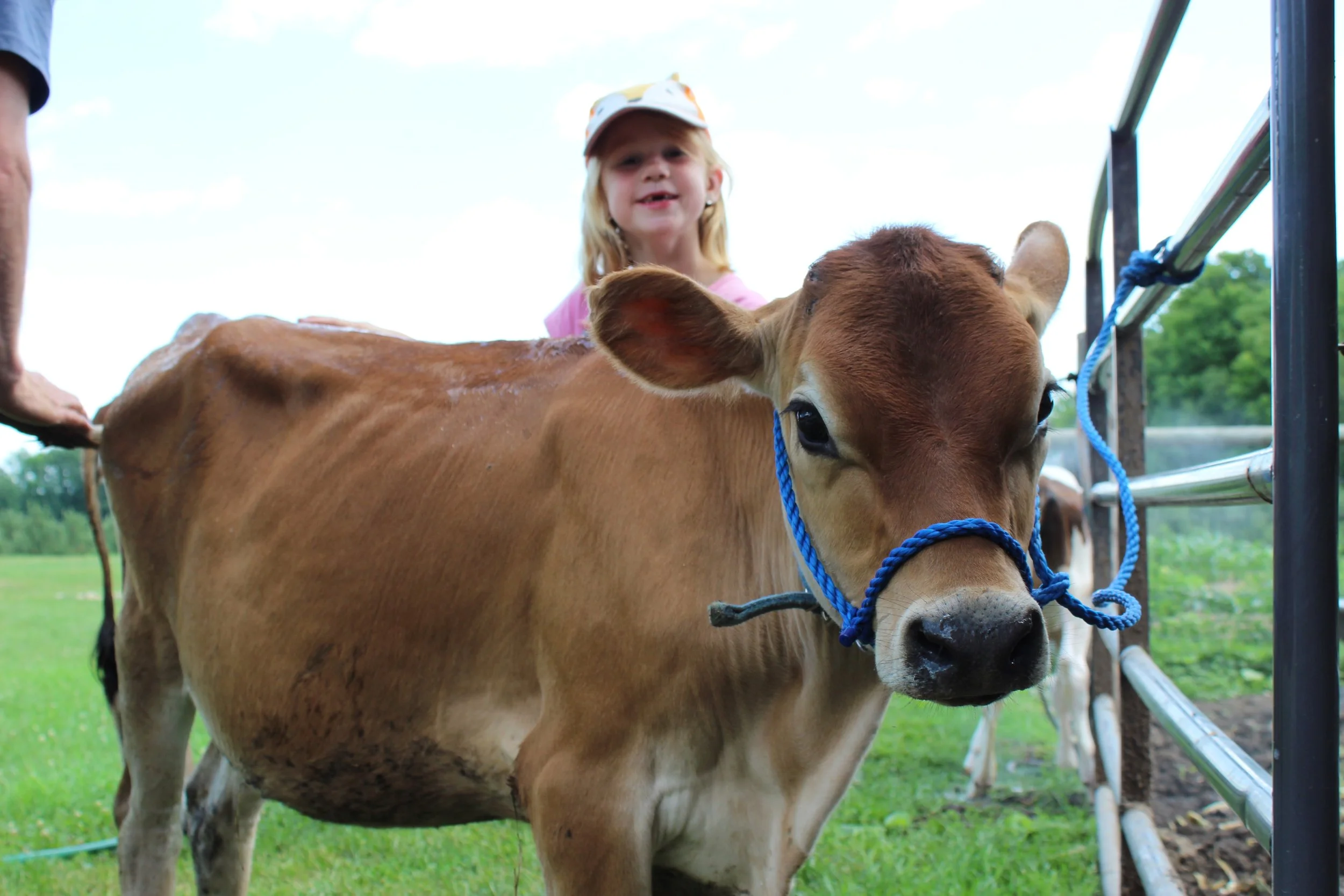 Photo Gallery — J & A Sunrise Farms, LLC