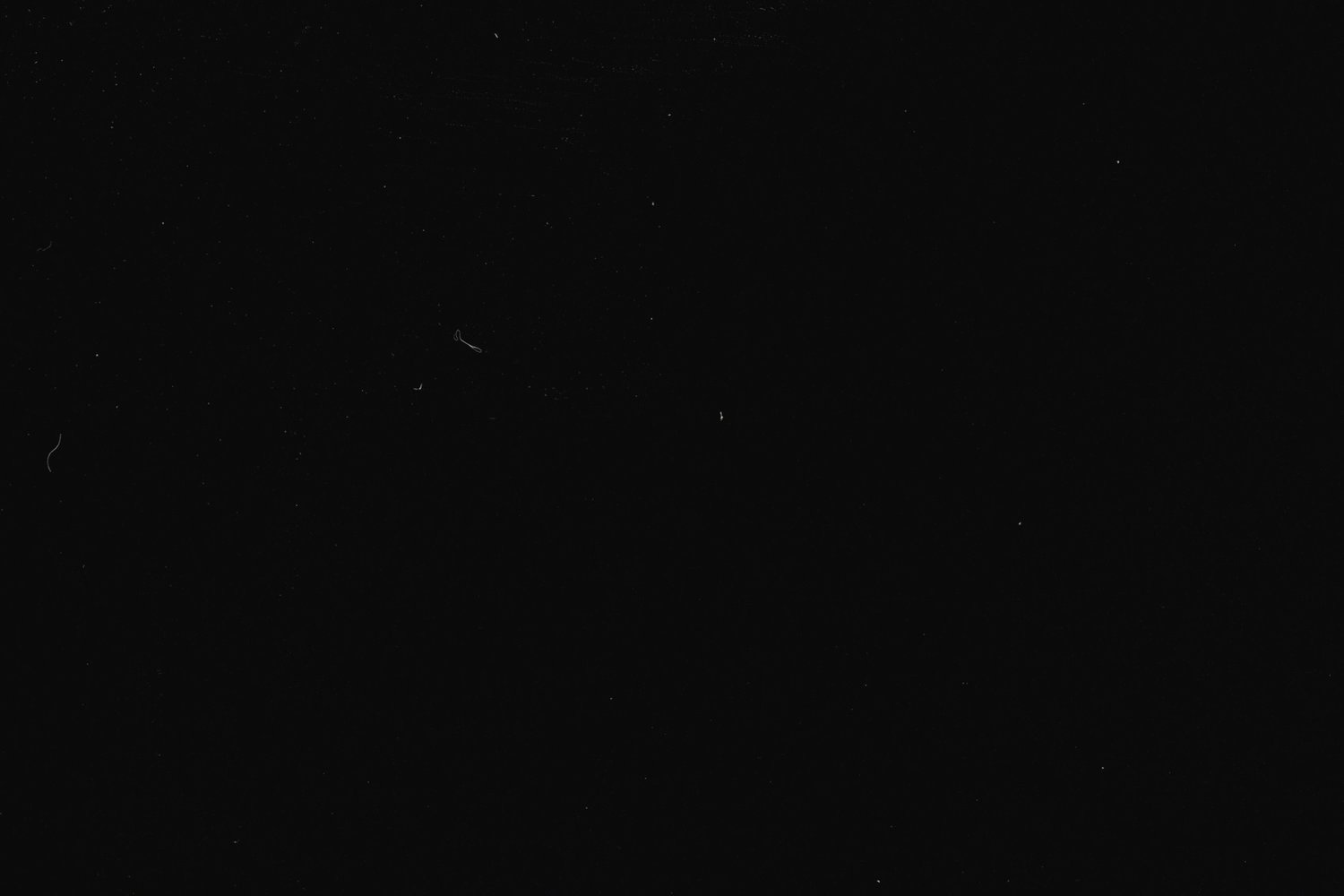 Film Dust