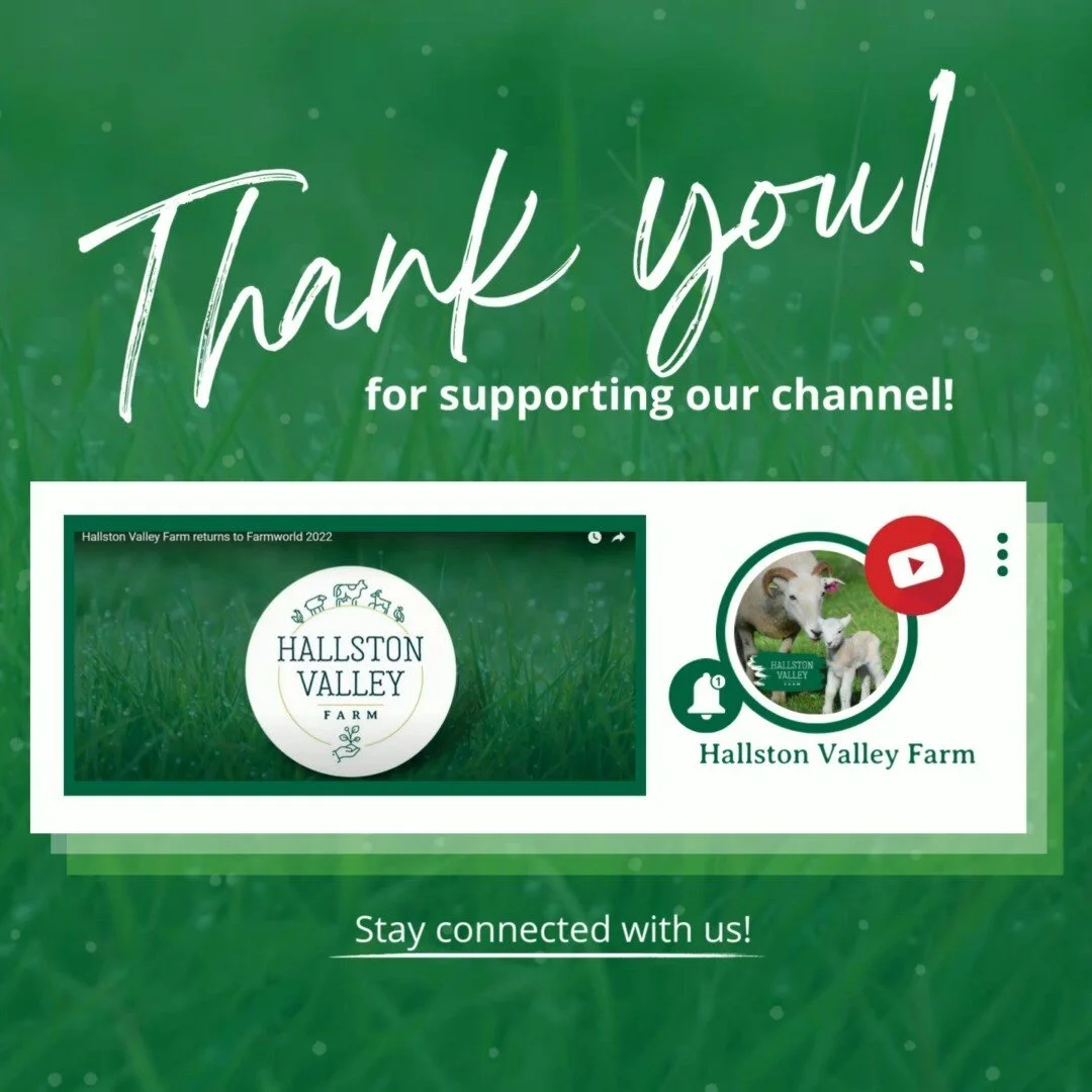 Hallston Valley Farm • Hampers & Farm Experiences